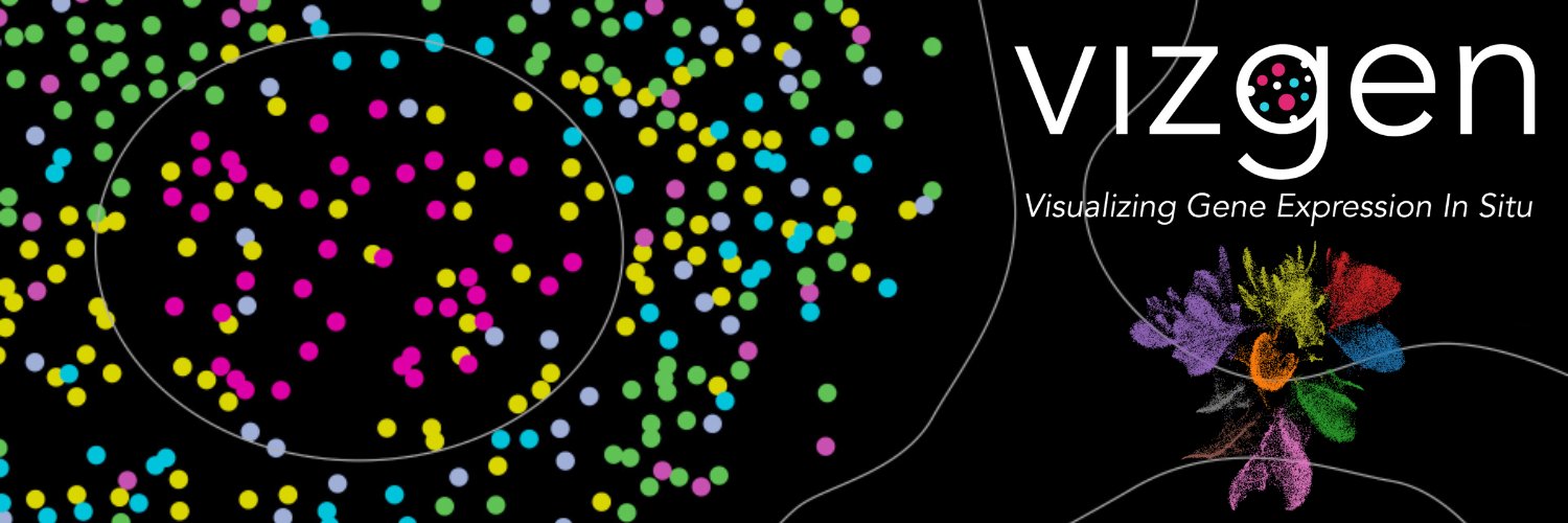 Vizgen MERFISH Mouse Brain Data